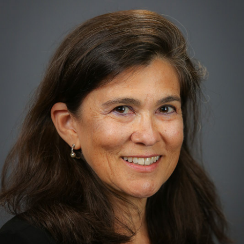 Webinar LLILAS Knight Center - Speakers - Journalism Courses by Knight ...